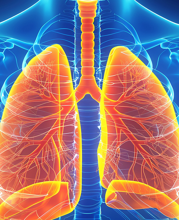Bronchitis Treatment in Dehradun, Uttarakhand | Graphic Era Hospital